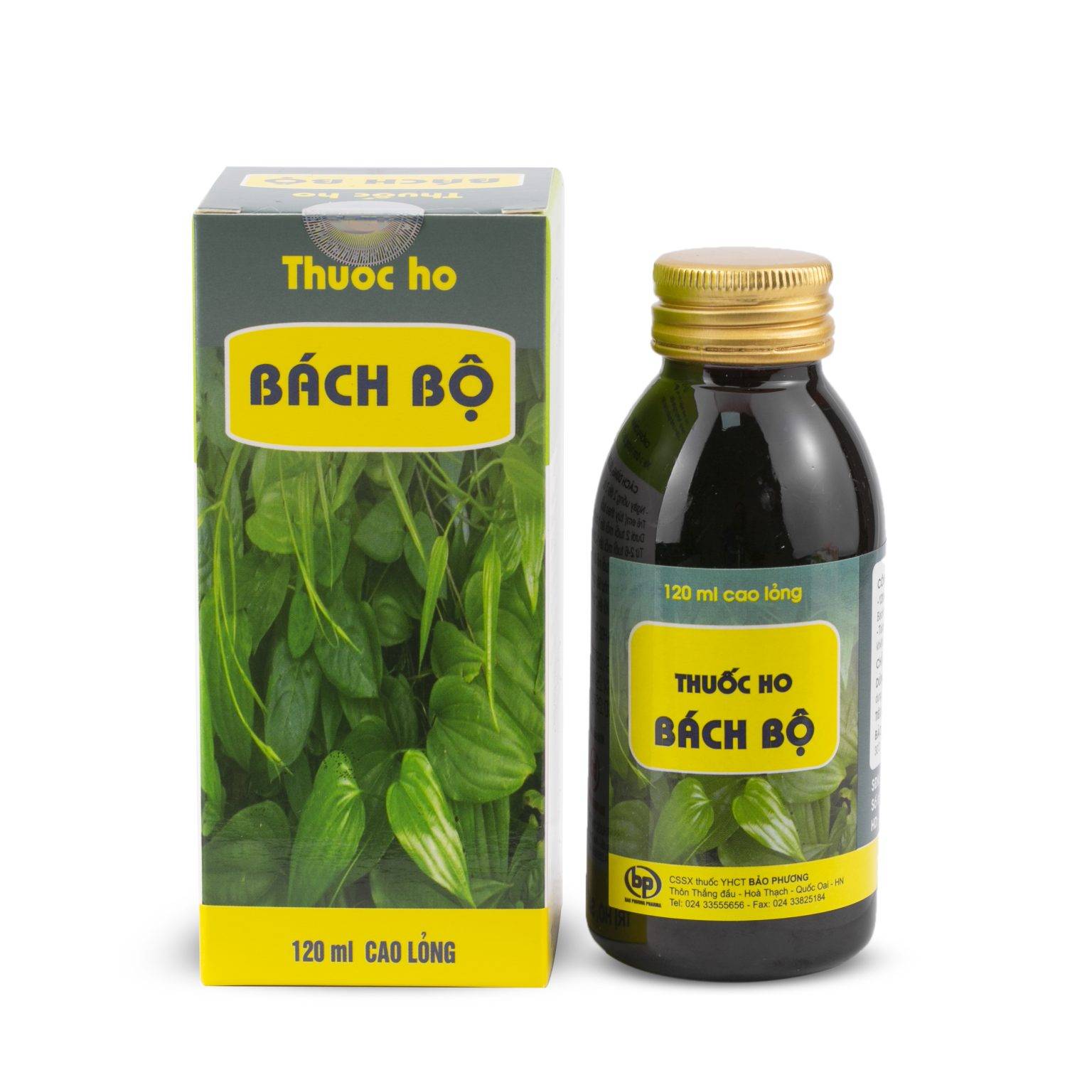 Thuốc ho Bách Bộ Bảo Phương và lợi ích cho hệ hô hấp - Dược Bảo Phương